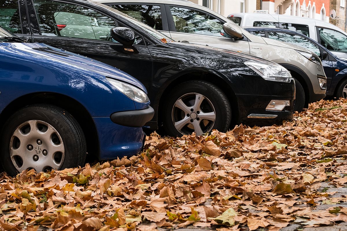 Parken ohne Ärger: Die 10 größten Irrtümer - Presse Ace